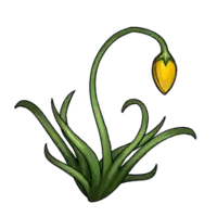 Sunflower Seed - V Rising Wiki