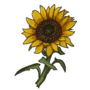 Farming - V Rising Wiki